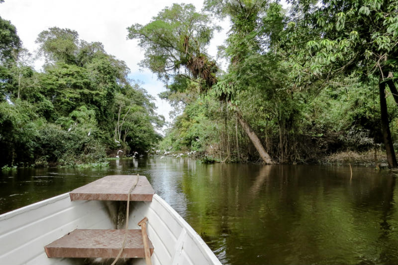 ‘40 Days Down the River’: Navigating Together Towards the Amazon Synod ...