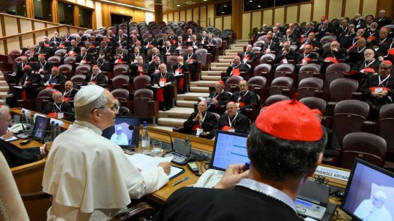 Here's what the second consistory of Leo XIV will look like: topics ...