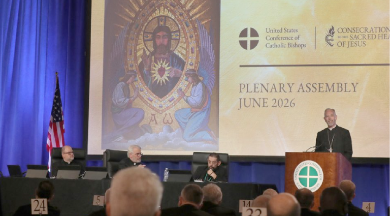 Recap of U.S. Bishops’ Plenary Assembly in Orlando - ZENIT - English